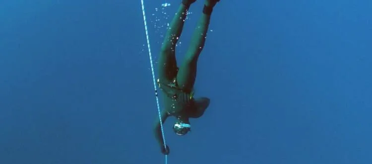A Guide to Scuba Diving Suits - Scuba Diving Lessons NJ